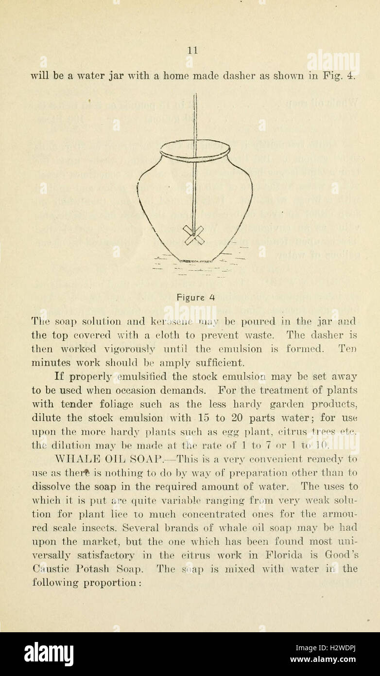A circular document with important information, focusing on page 11 ...