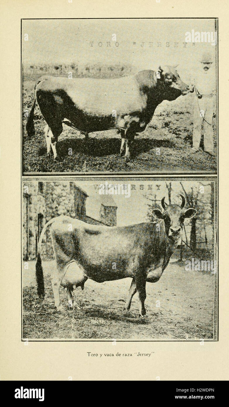 This page from a circular document provides important information or ...