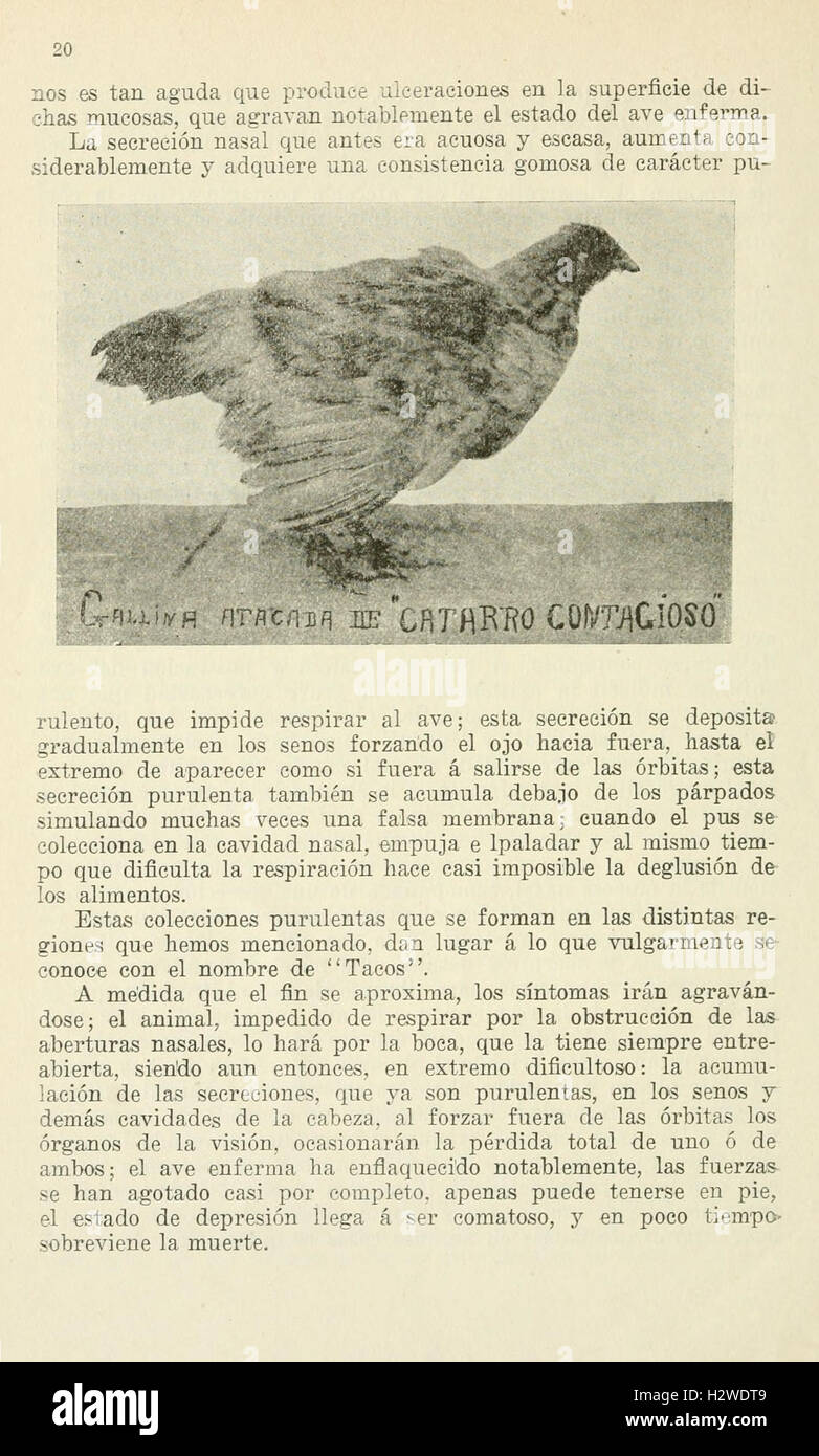 A circular publication providing updates or notices on a specific ...