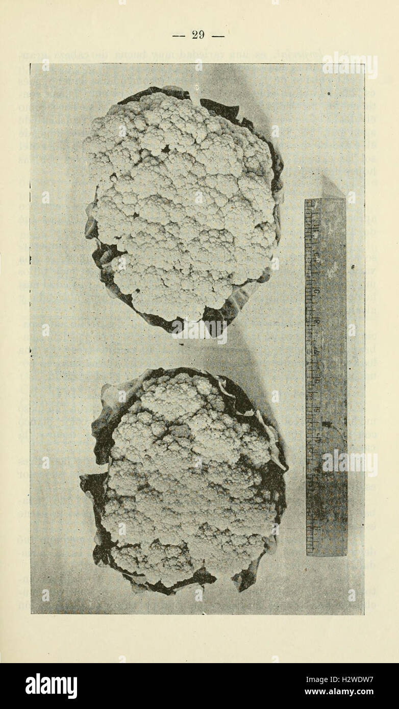 This document is a circular communication, detailing important ...