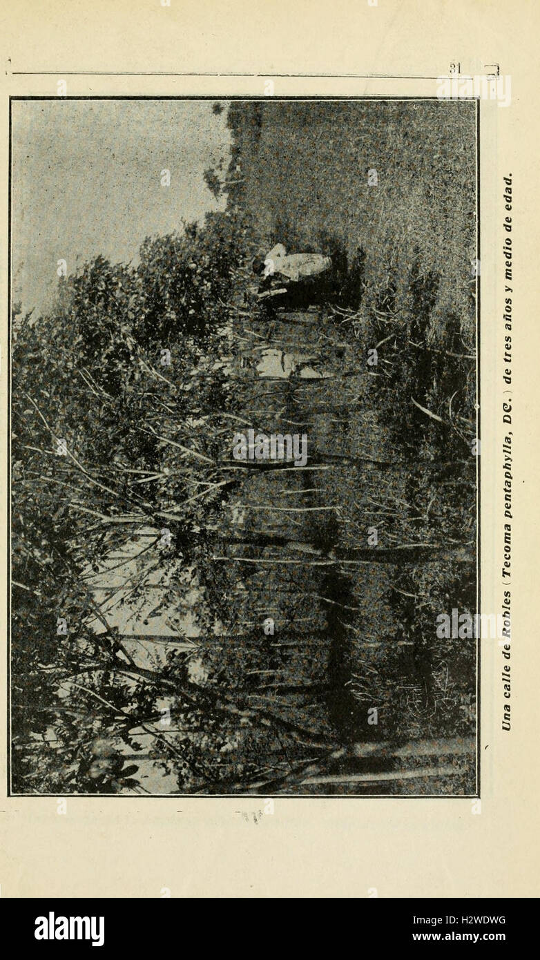 This circular document provides important announcements, guidelines, or ...