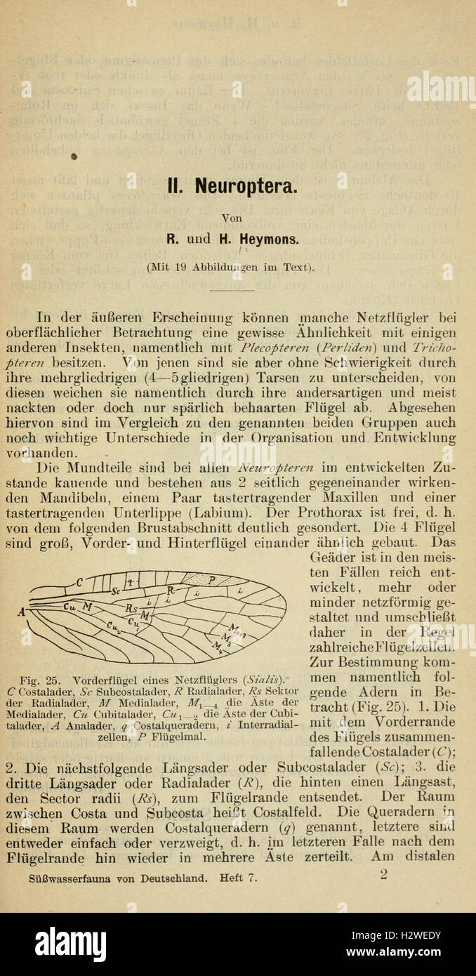 A study of various insect orders, focusing on Collembola, Neuoptera ...