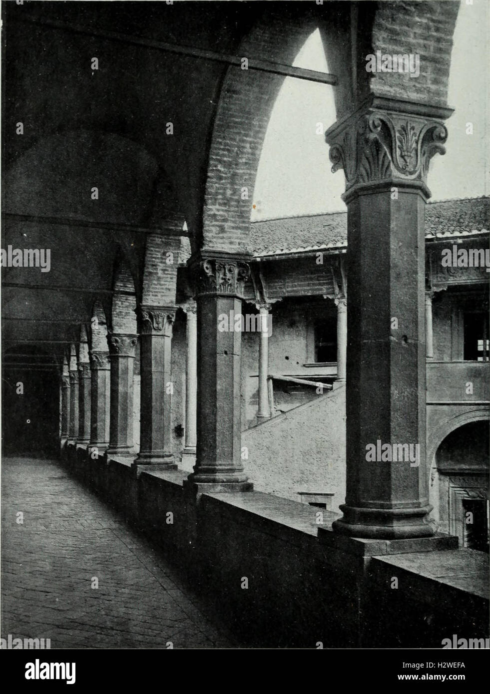 This illustrated collection of monographs from 1905 presents detailed ...