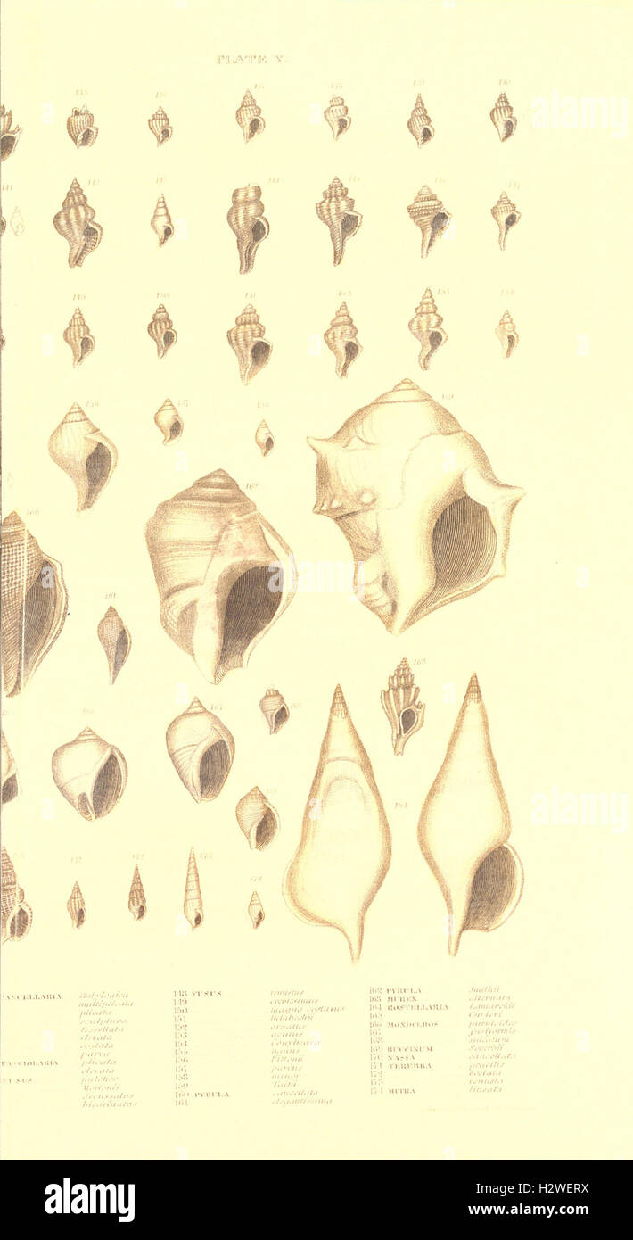 'Contributions to Geology' provides various studies on geological ...