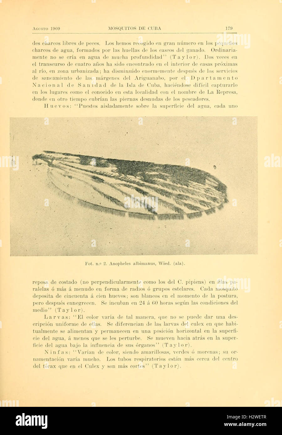 A study on mosquitoes in Cuba, focusing on species identification ...
