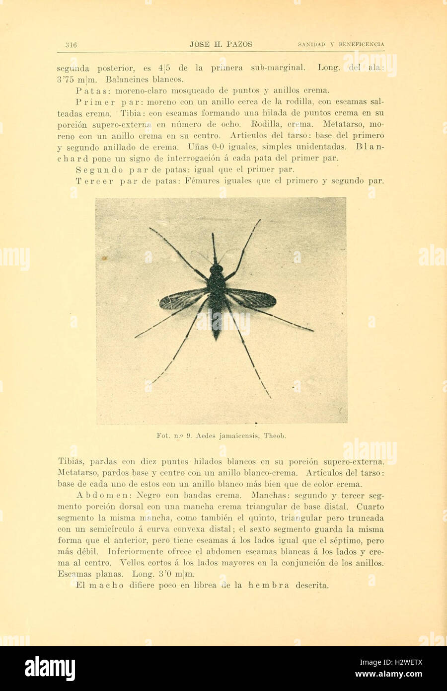 A study on mosquitoes in Cuba, focusing on their species, behavior, and ...