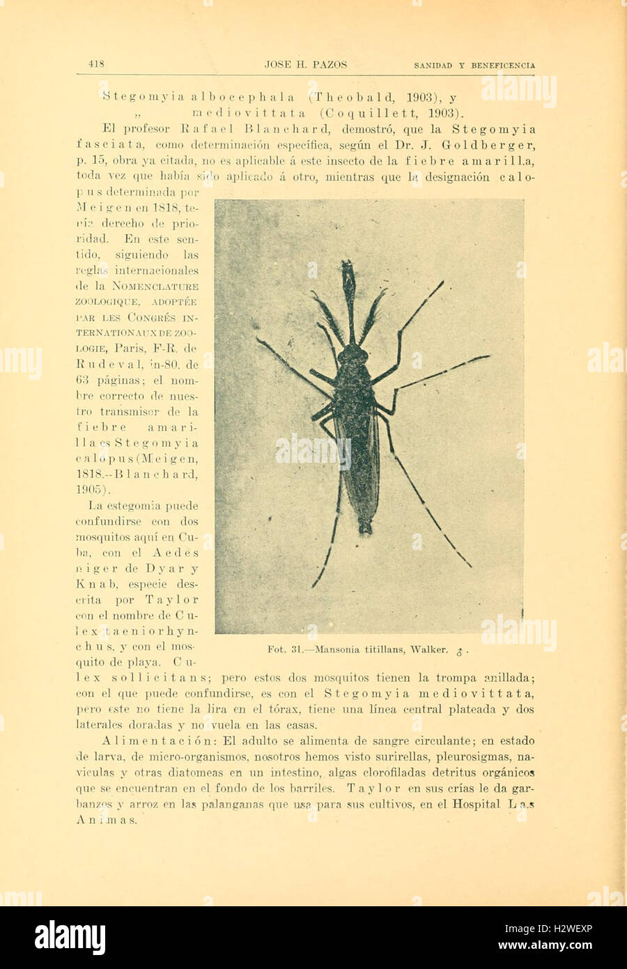 This work focuses on the study of mosquitoes in Cuba, detailing various ...