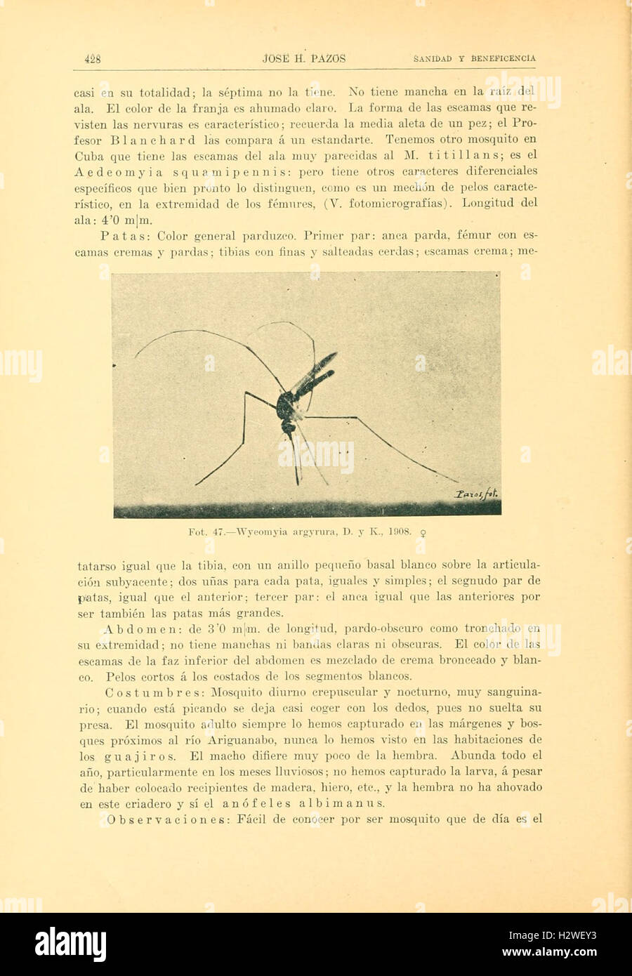 This study provides a detailed examination of mosquito species in Cuba ...