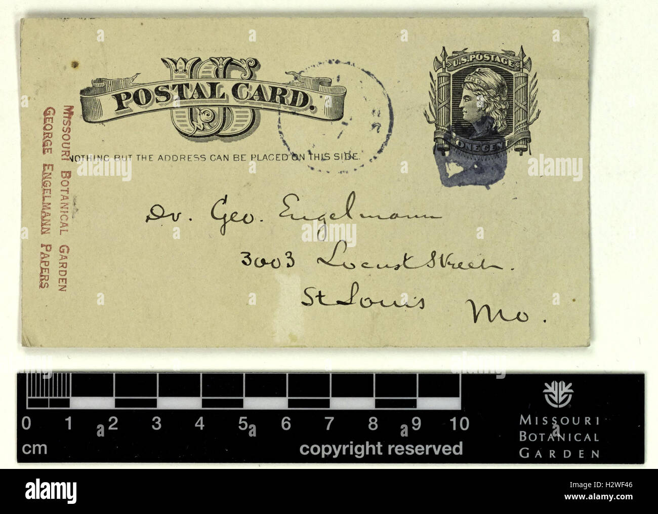 A letter exchange between Valery Havard and George Engelmann, dated ...