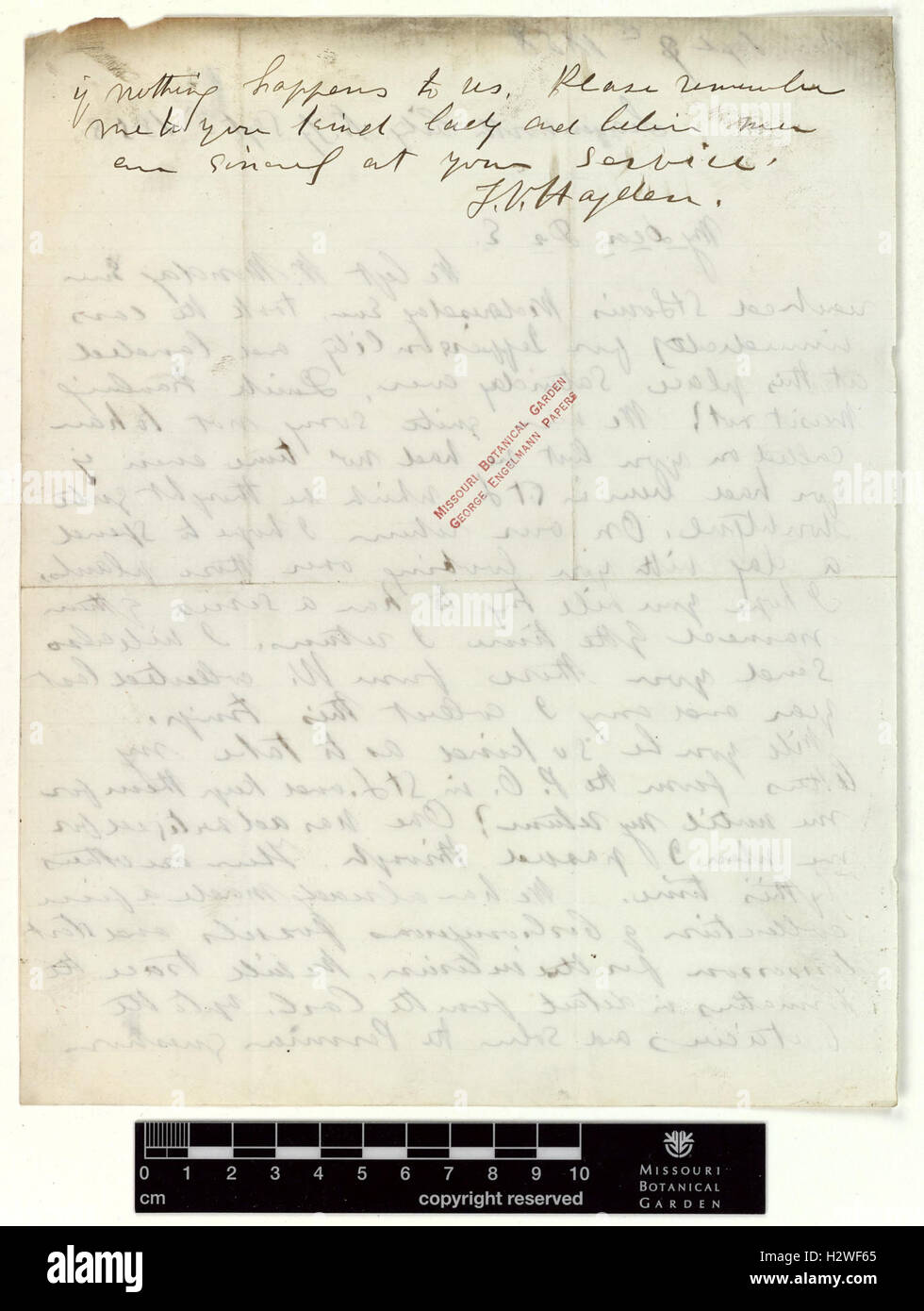 This letter exchange between Ferdinand Hayden and George Engelmann from ...
