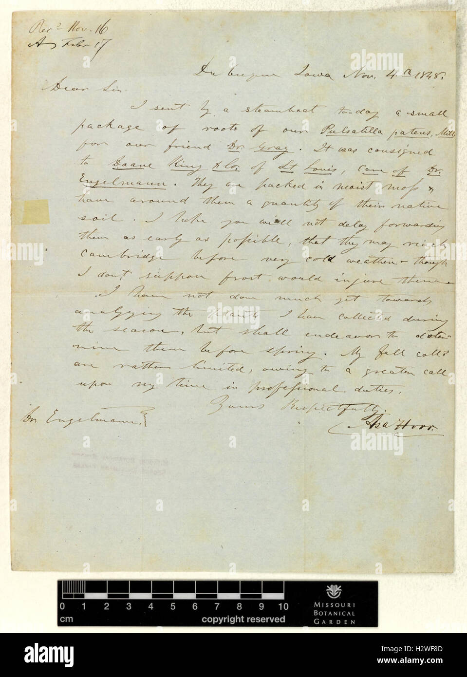 A historical correspondence between Asa Horr and George Engelmann ...