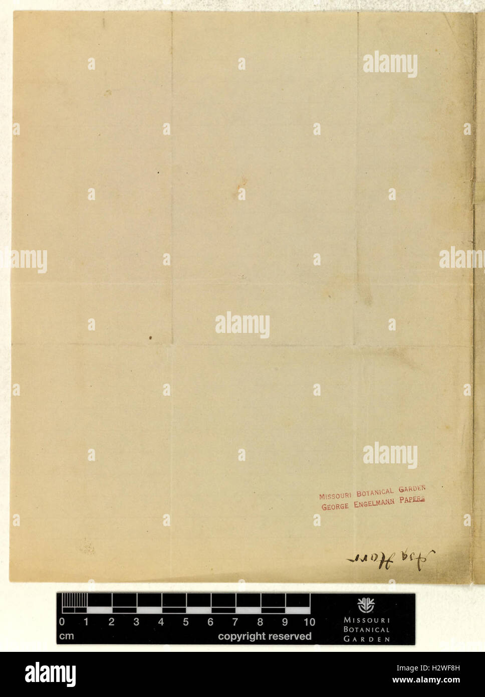 This letter exchange between Asa Horr and George Engelmann provides ...