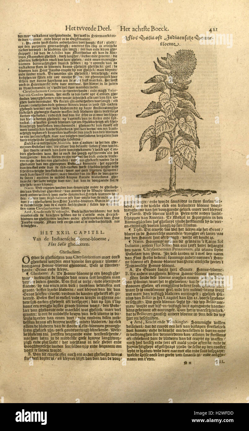 This botanical text by Dodonaeus discusses the latest revisions in the ...