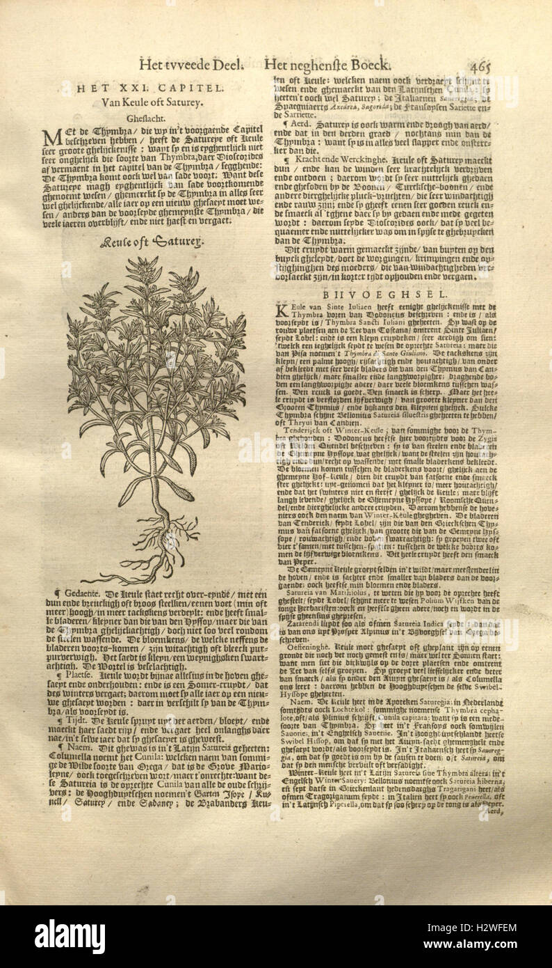 A Dutch botanical text focusing on medicinal herbs and plants ...