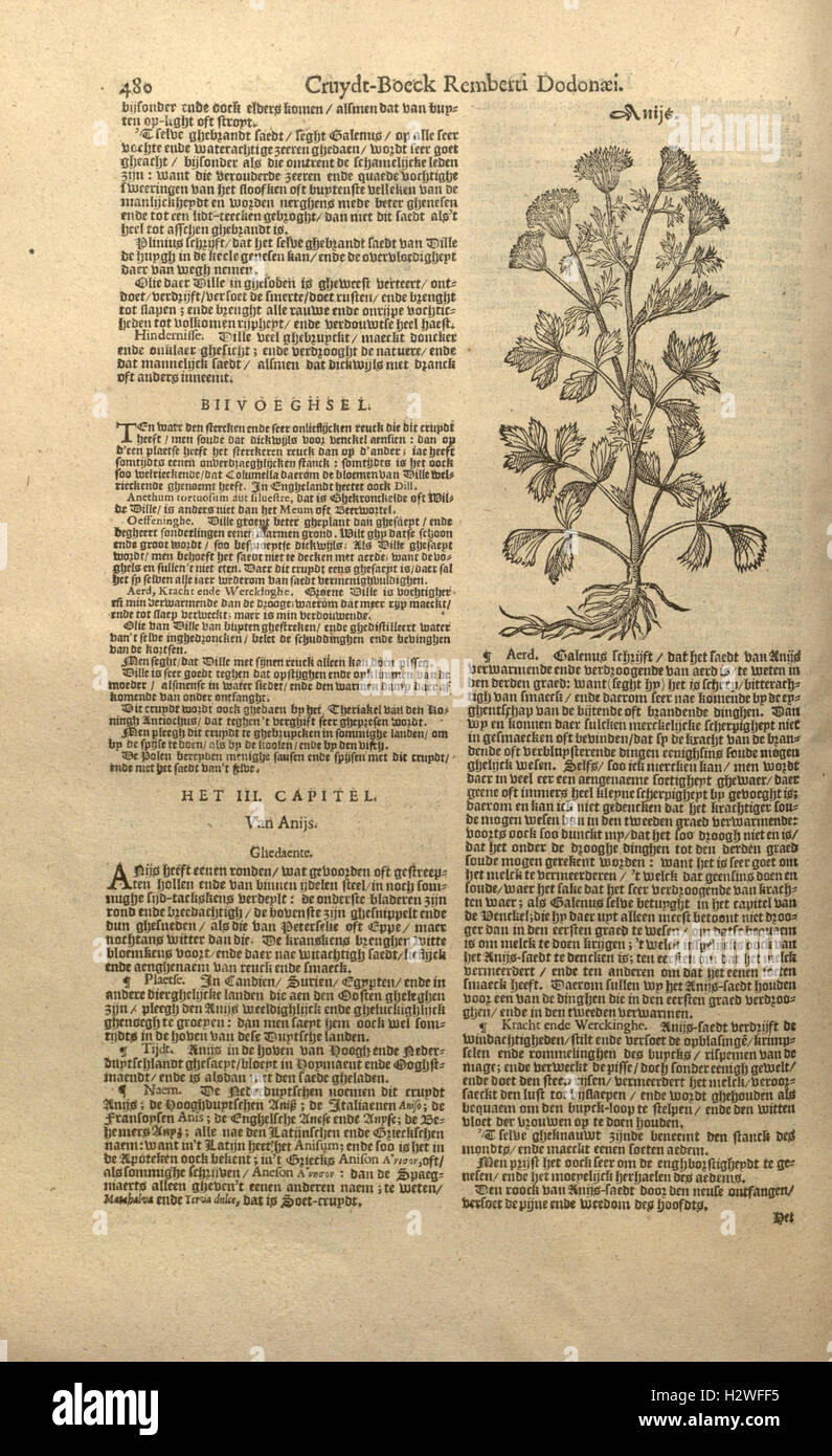 A botanical text by Rembert Dodoens detailing the medicinal properties ...