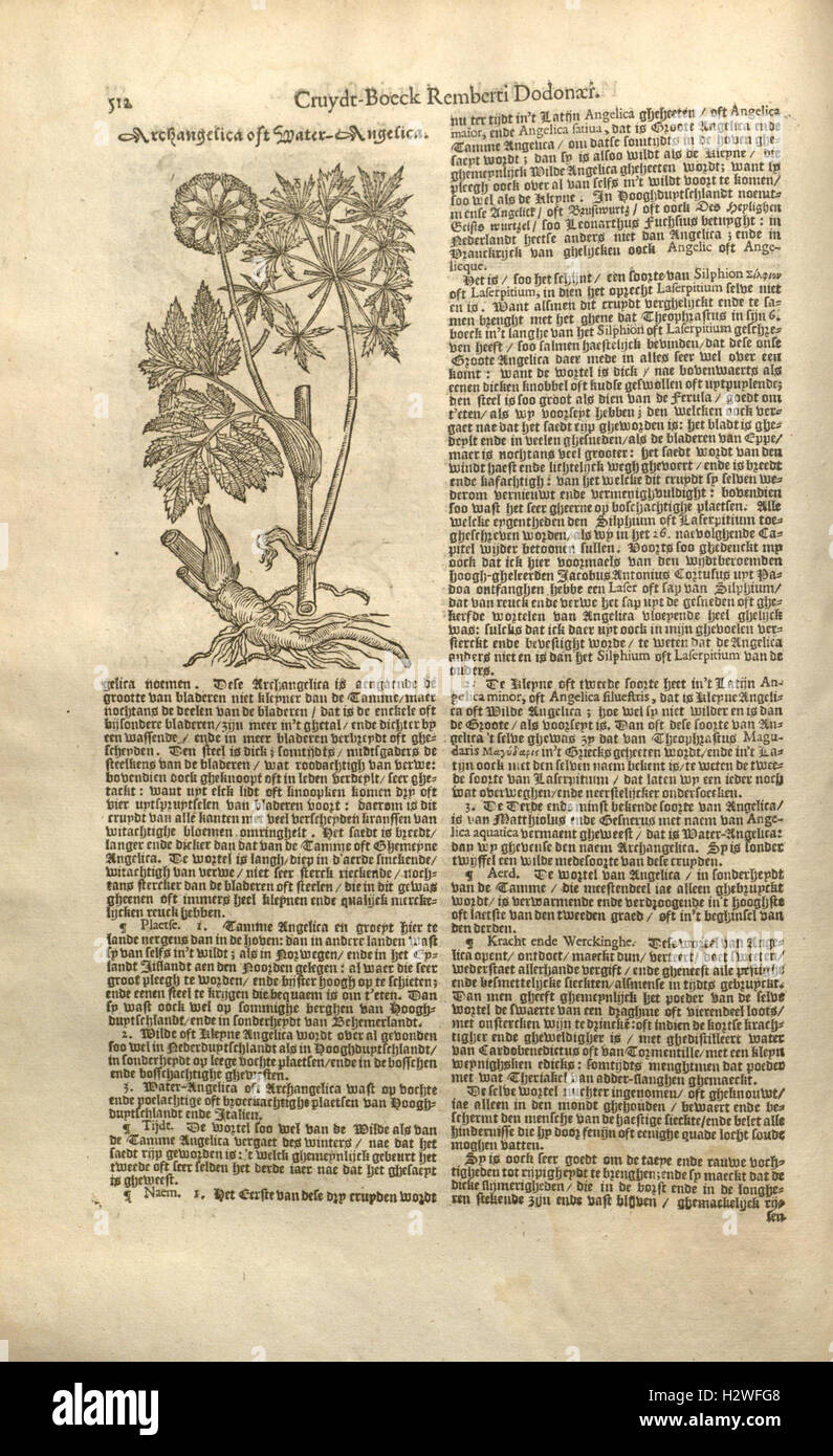 A botanical text detailing the latest improvements in the ...
