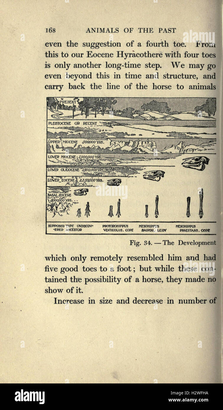 'Animals of the Past' provides an overview of extinct species, offering ...