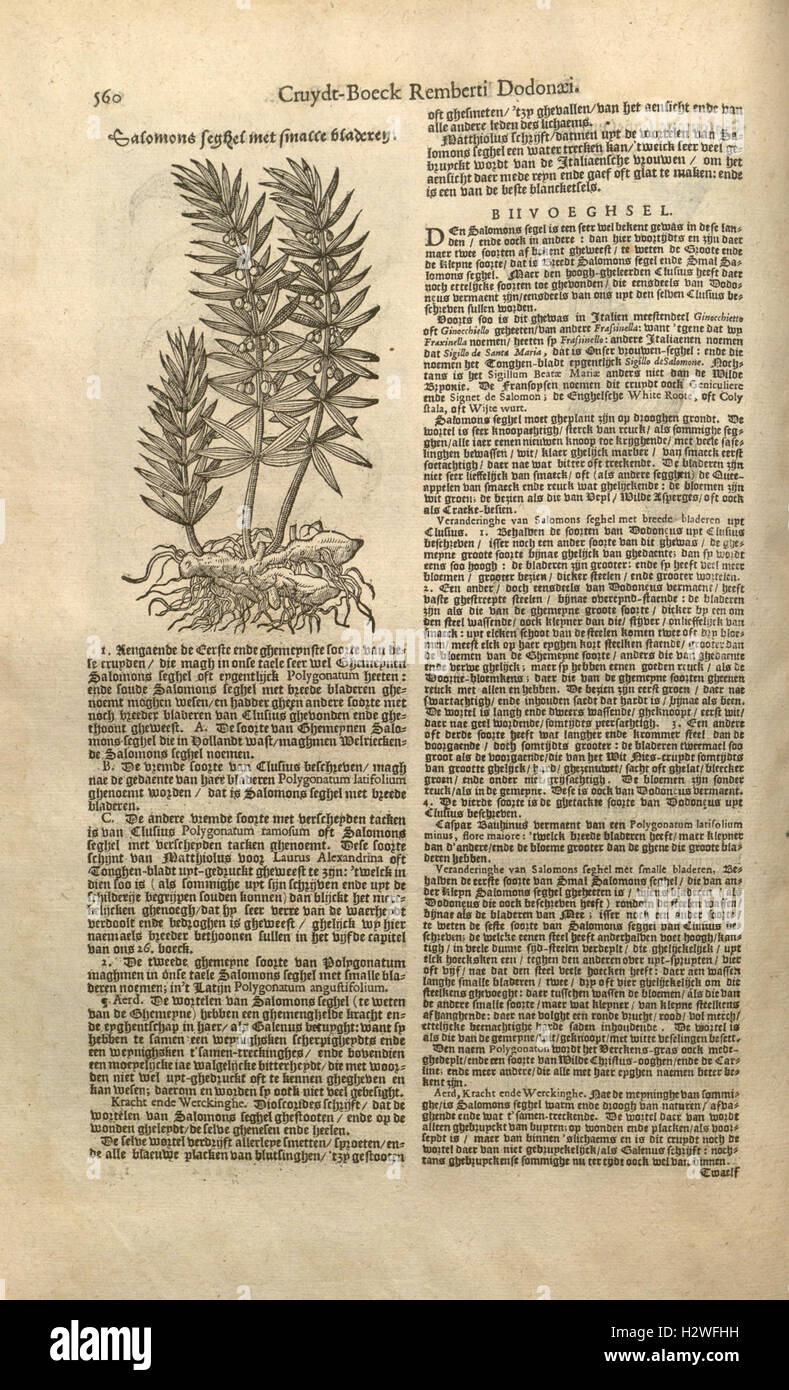 This botanical work by Rembert Dodonaeus focuses on medicinal plants ...
