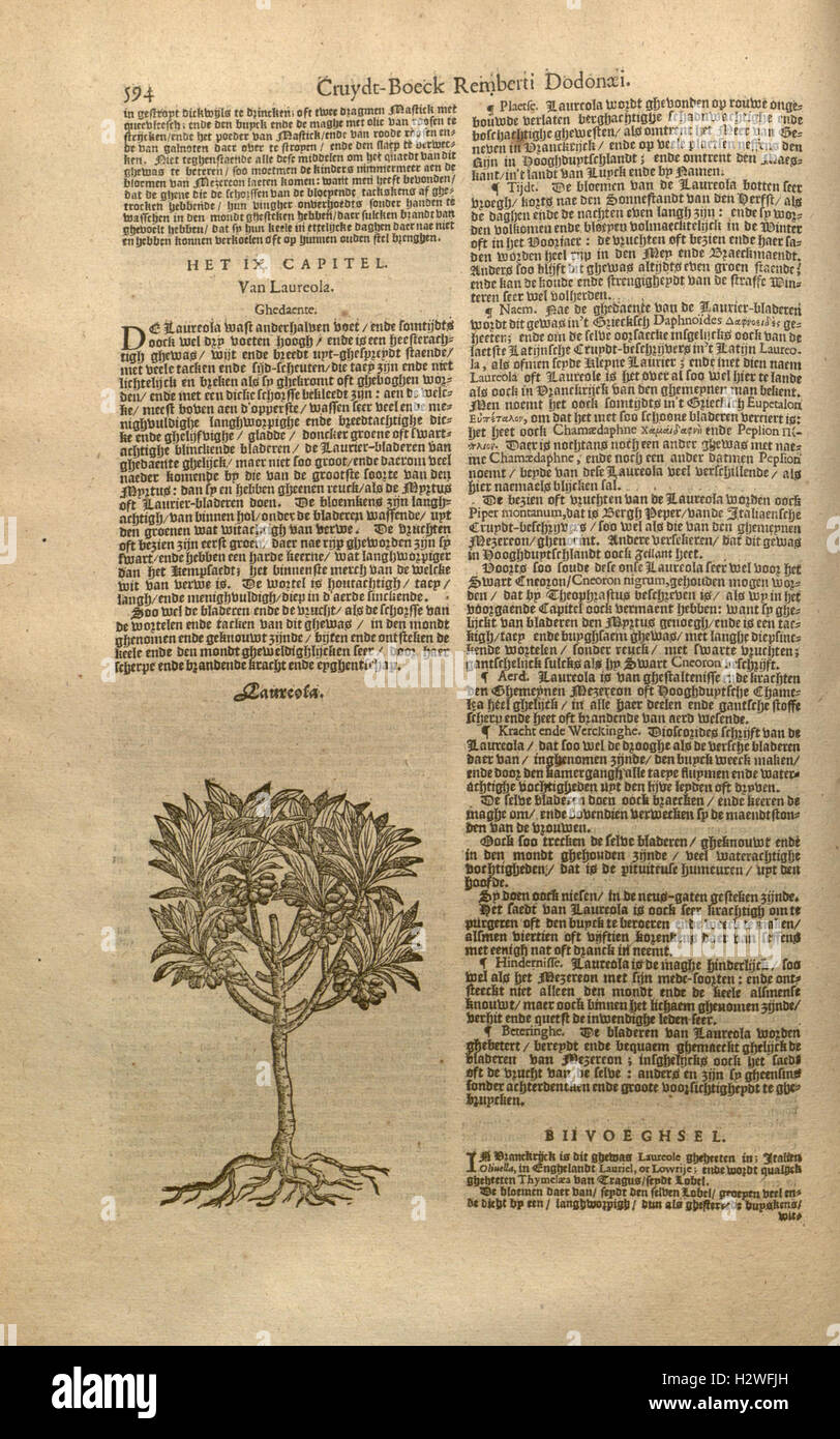 This botanical work presents updates on plant species classification ...