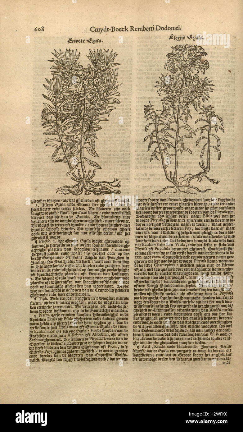 A botanical text on herbs and their uses, focusing on the improvements ...