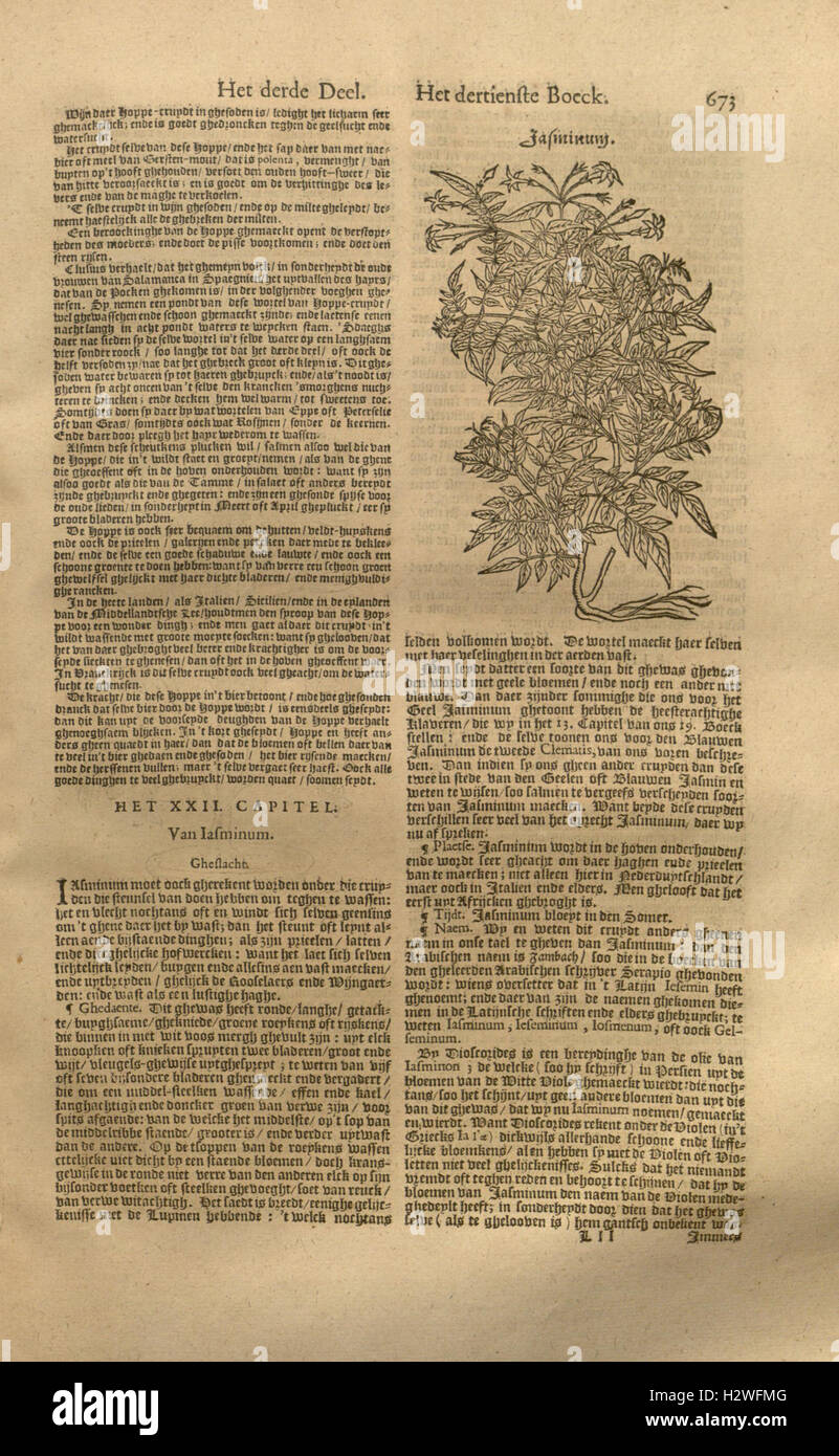A botanical text by Rembert Dodoens, offering revised descriptions of ...