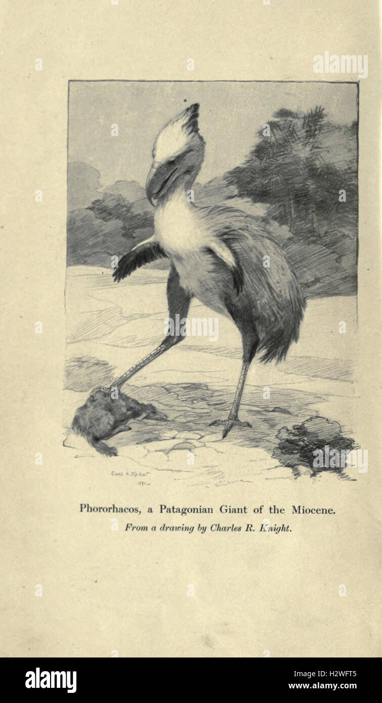This work explores the ancient animals that once roamed the Earth ...