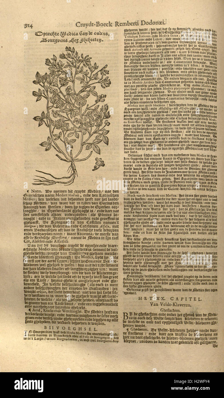 This botanical text provides an updated compilation of medicinal plants ...