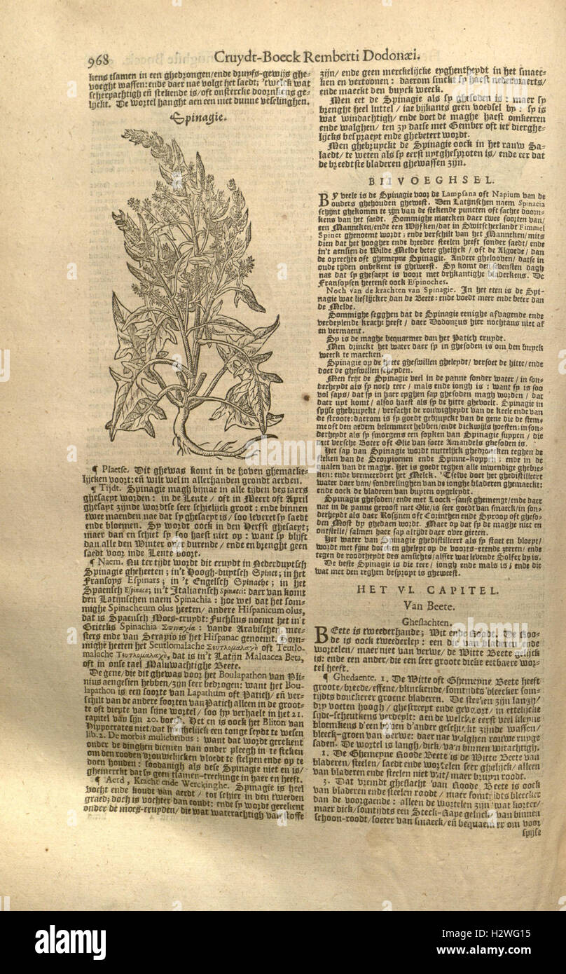 This botanical text, detailing the plants described by Rembert Dodoens ...