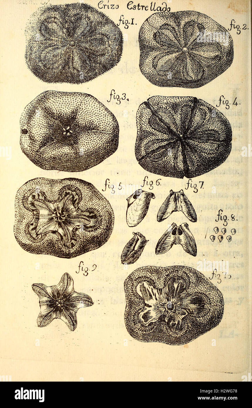 This work offers a description of various natural history specimens ...