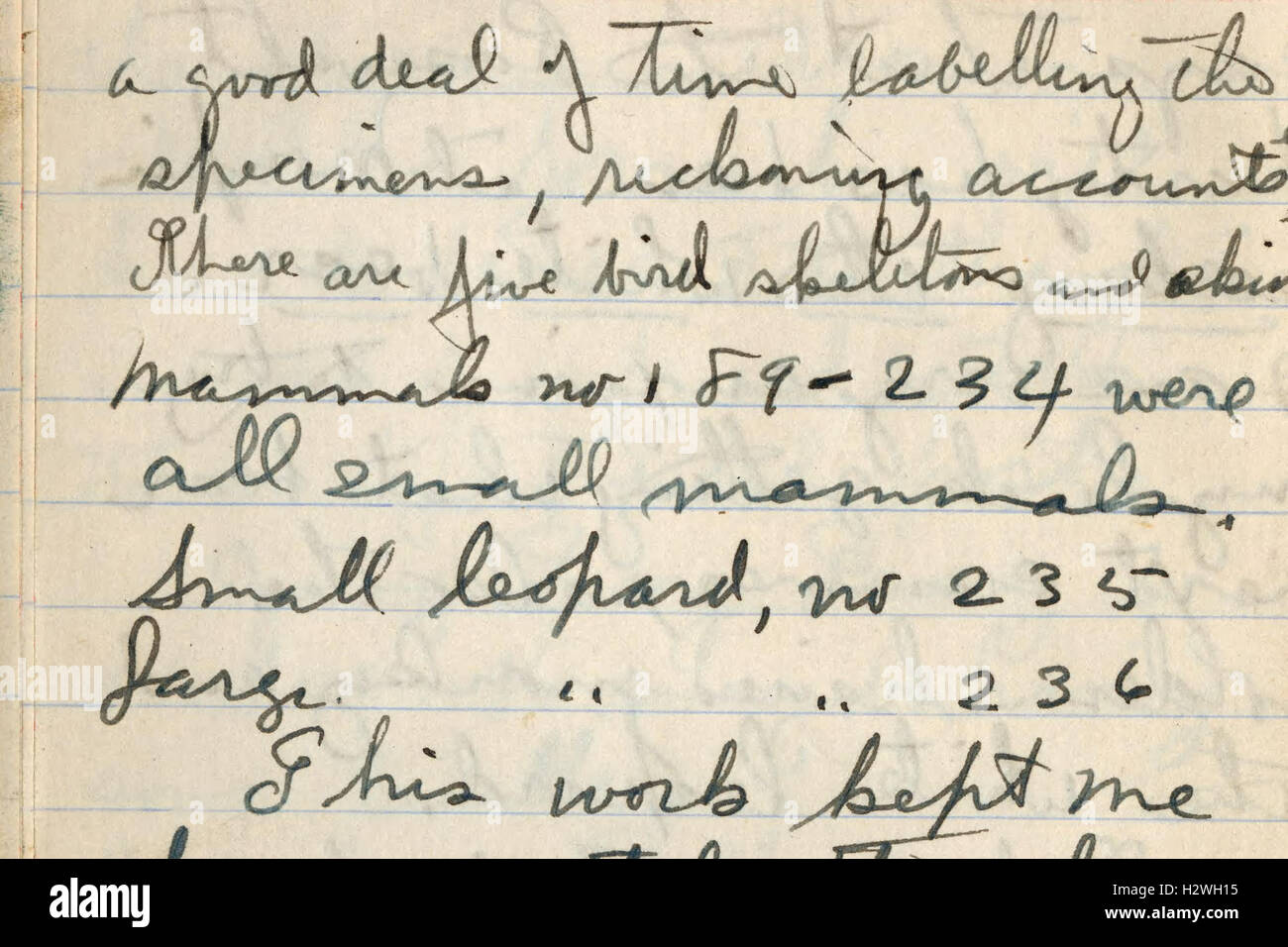 A diary covering the period from February 15 to June 13, 1929 ...