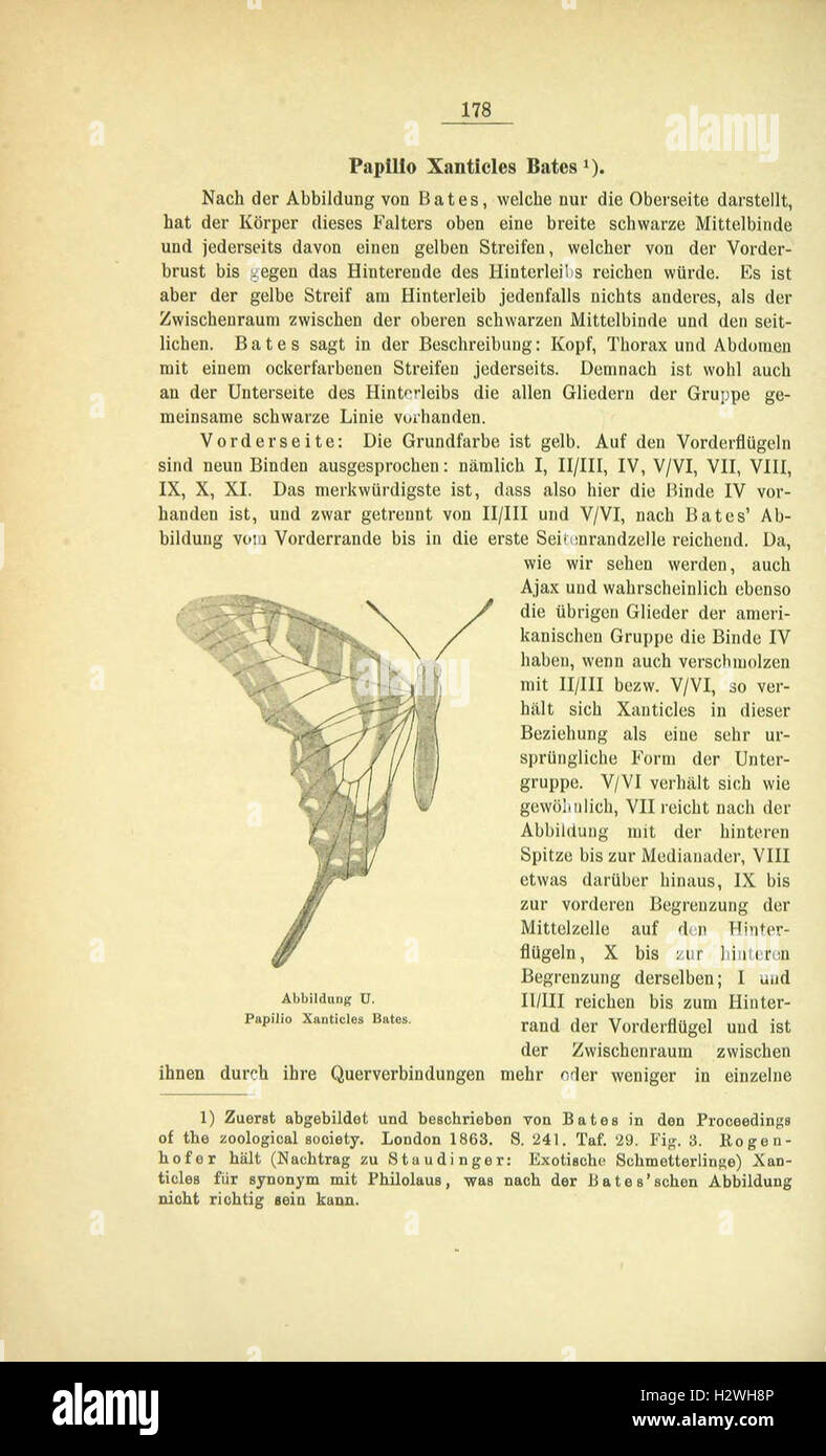 This work focuses on the evolution and relationships of butterfly ...