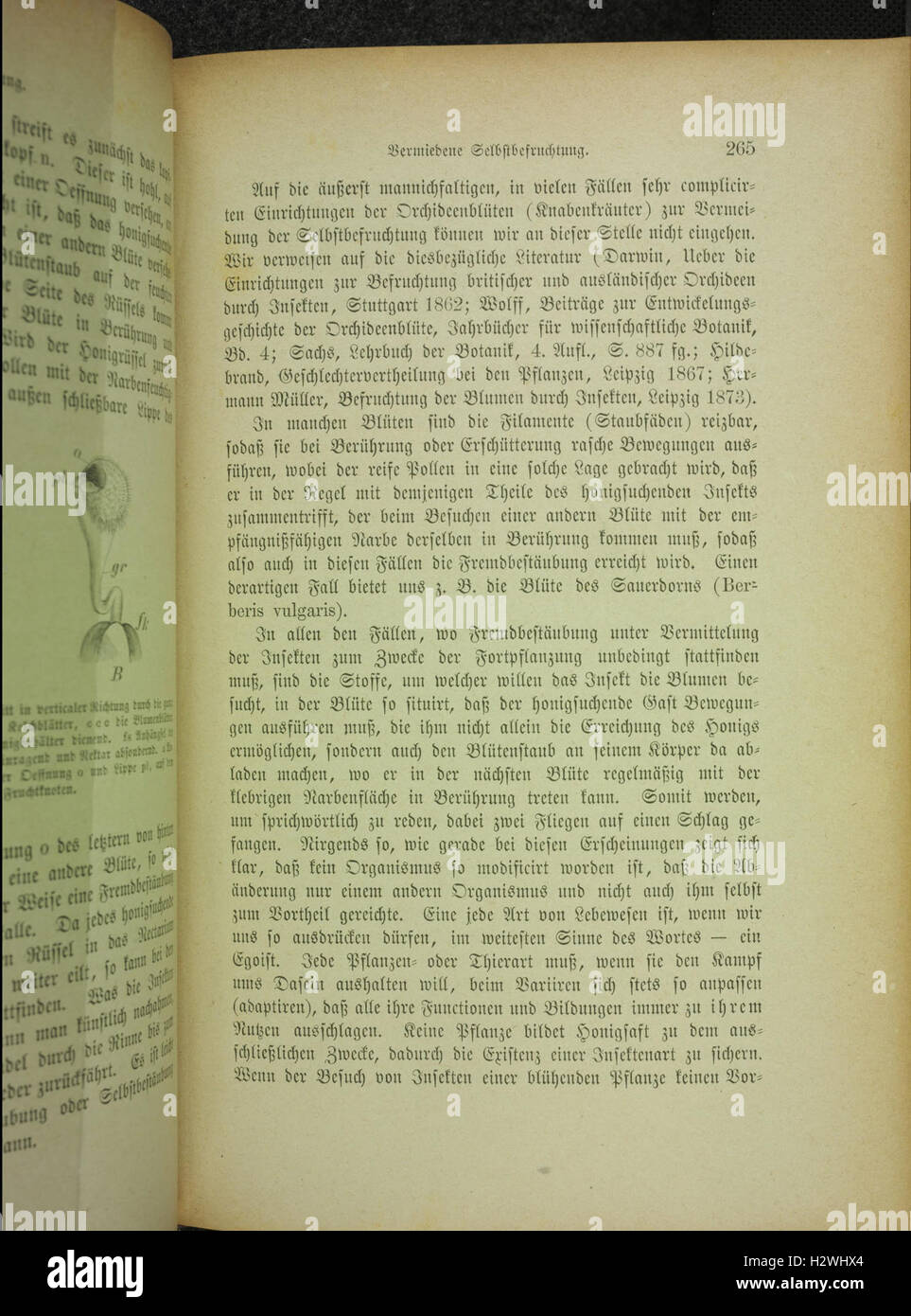 This work explores contemporary theories of creation according to ...