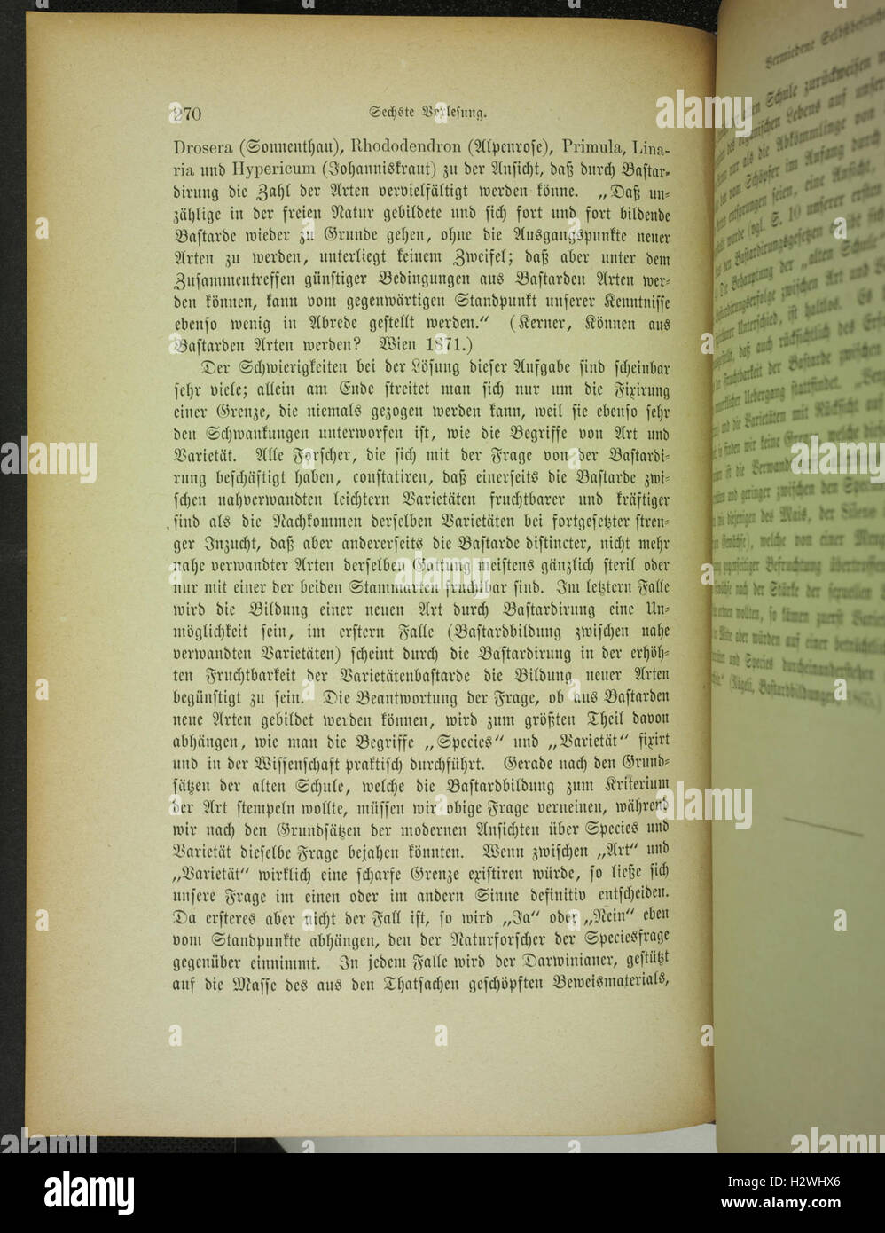 This work discusses the modern theories of creation in the context of ...