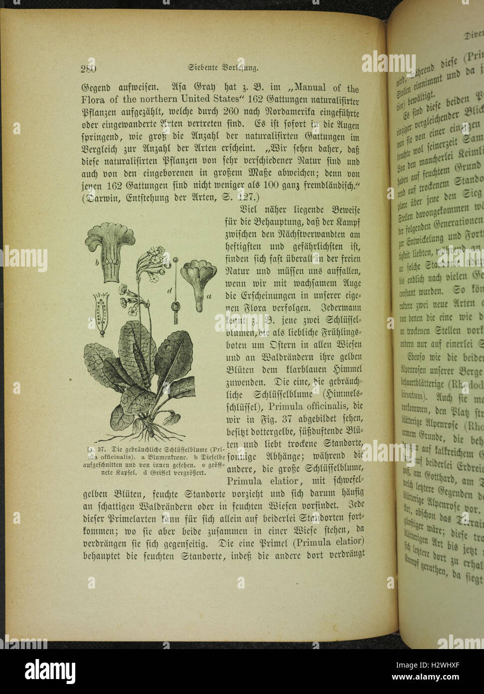 This German work presents a modern view on the history of creation ...
