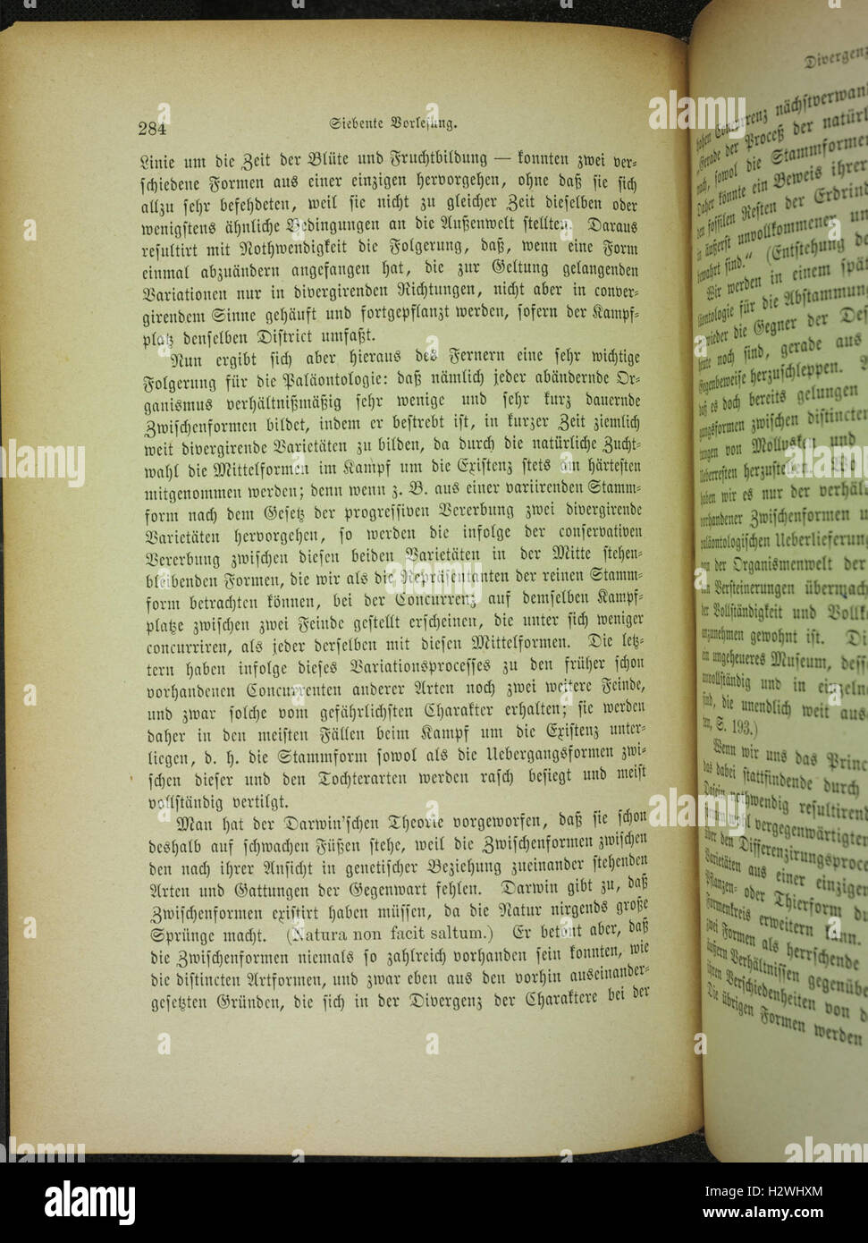 This work explores the modern understanding of creation according to ...