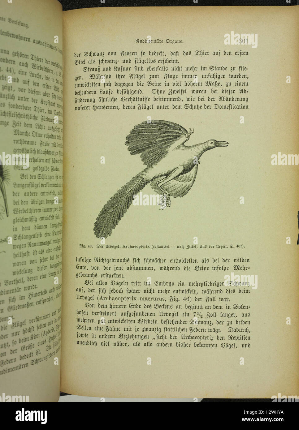 This work discusses the current scientific understanding of the ...