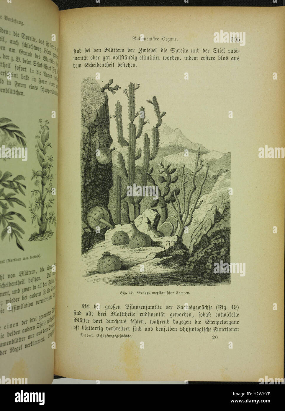 This work discusses the modern state of creation science according to ...