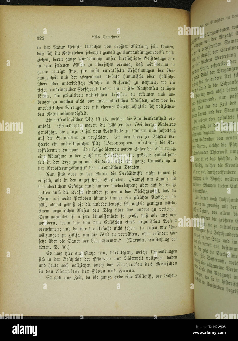 This work examines the current state of creation theories in light of ...