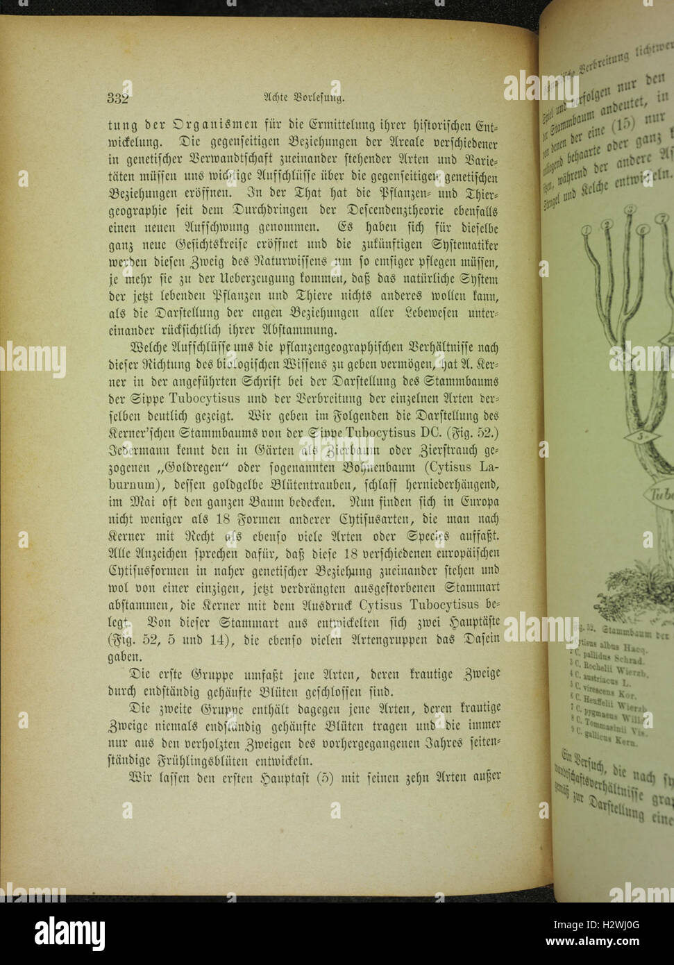 A work on the modern understanding of creation according to the current ...