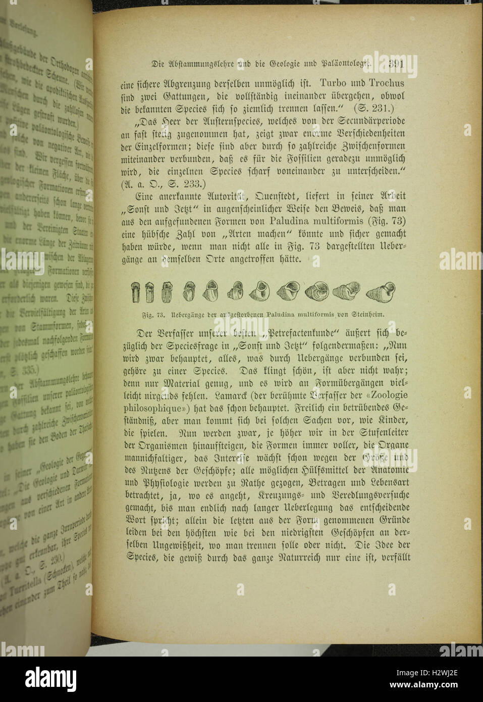 This German text presents an analysis of creation theories based on ...