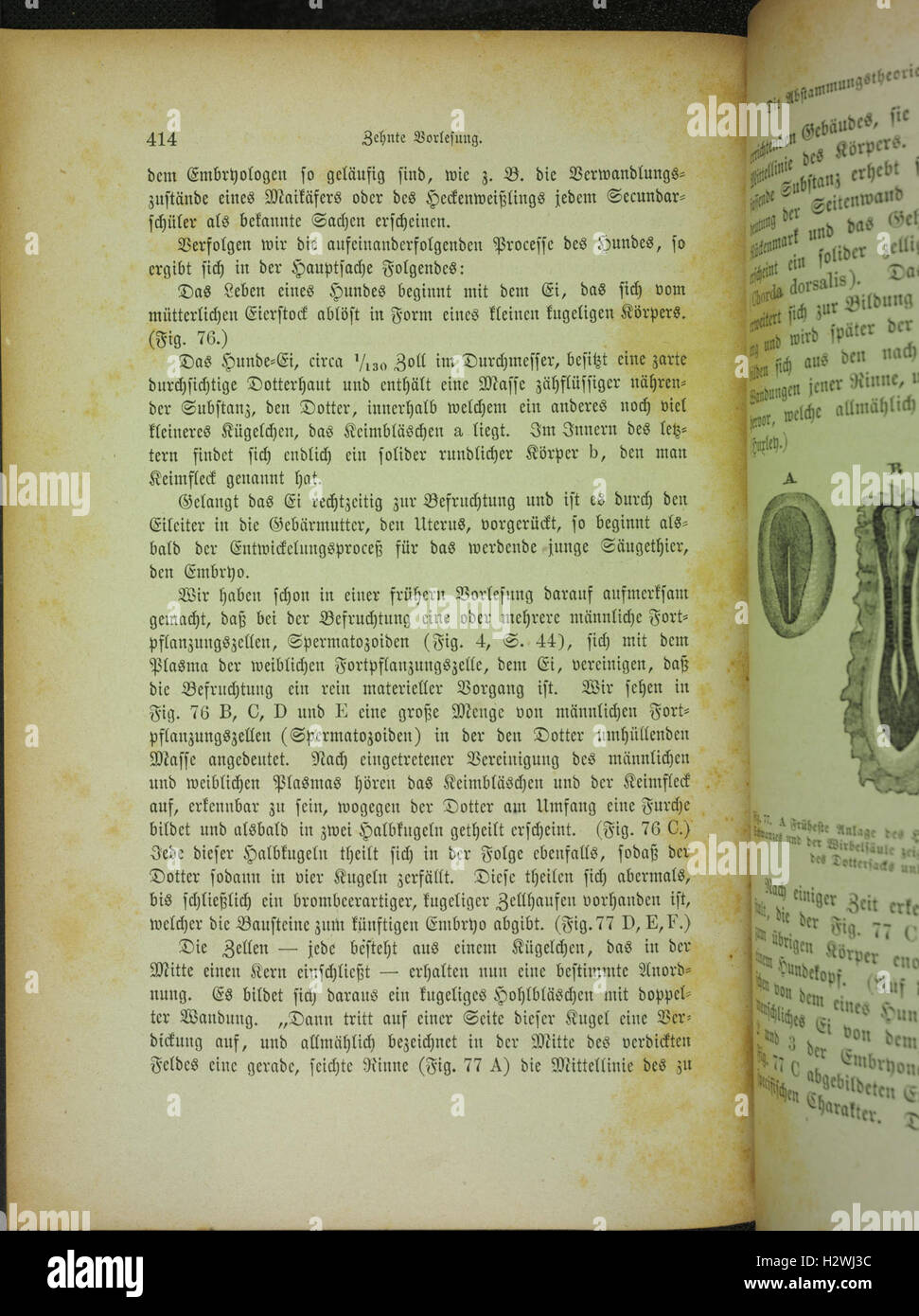 A modern account of creationism, reflecting the current understanding ...