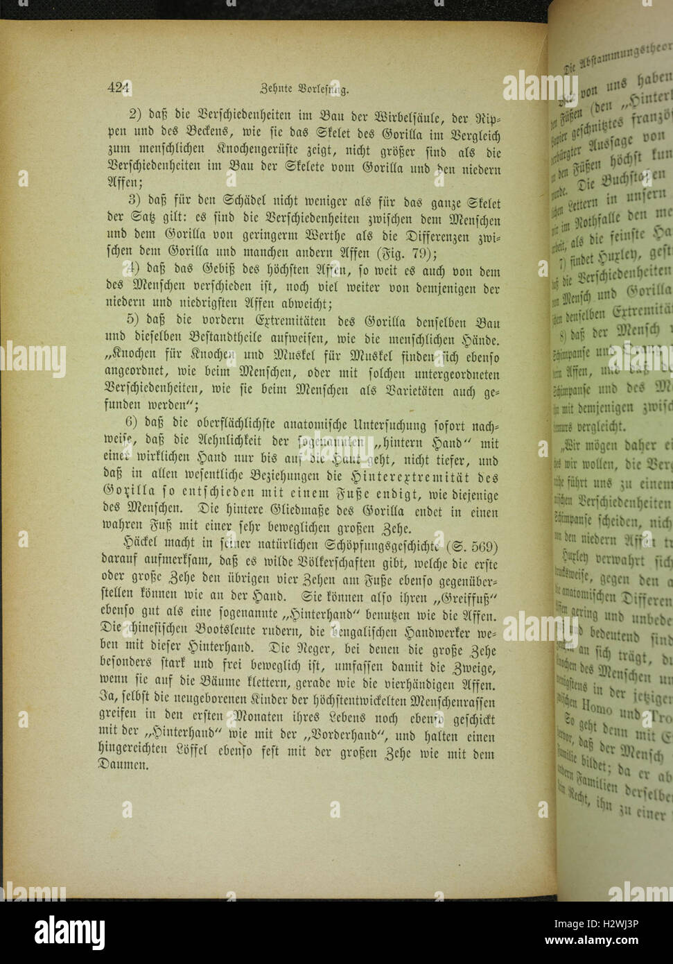 This work discusses the modern understanding of creation history ...