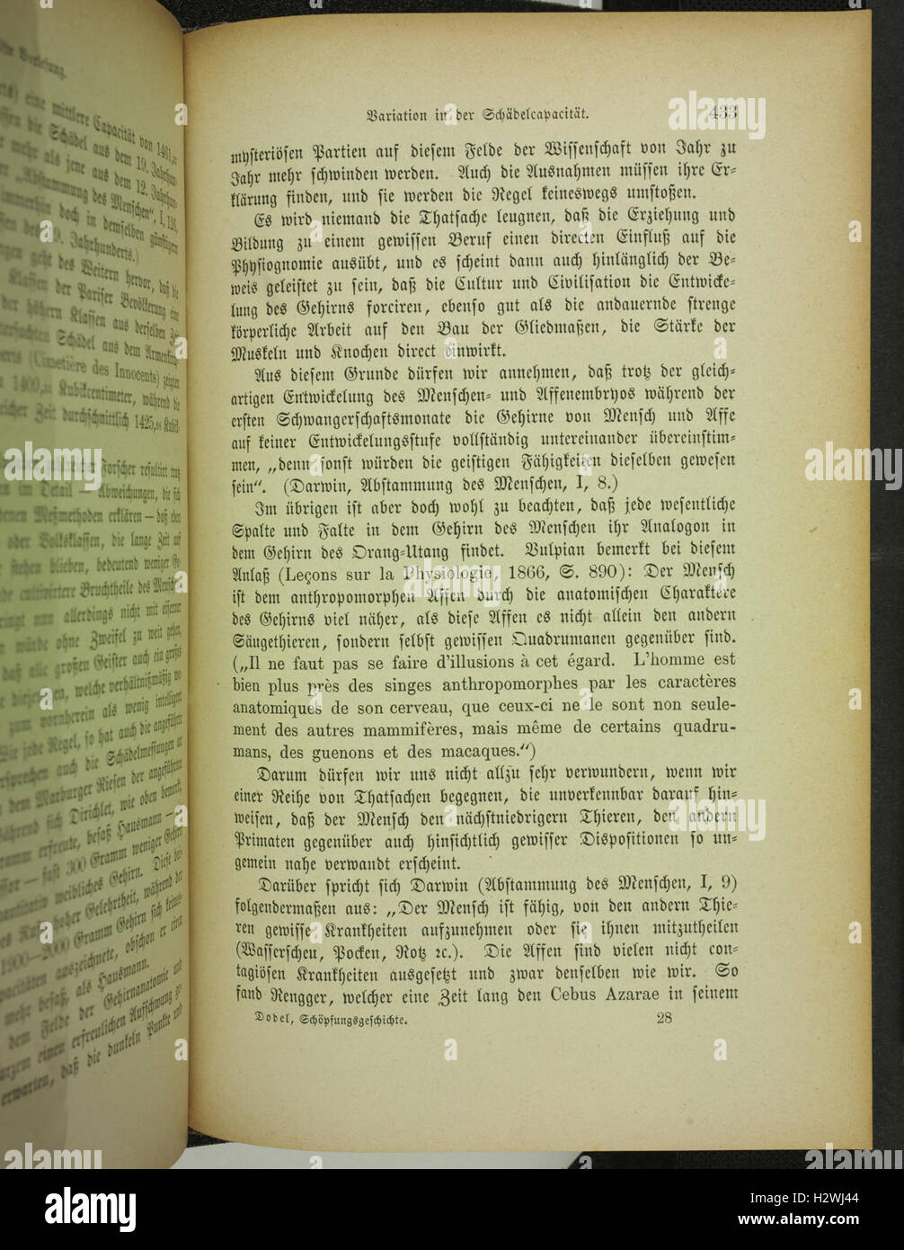 This work explores modern scientific perspectives on the creation of ...