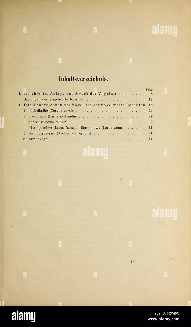 A study on the Rossitten Bird Observatory and the characteristics of ...