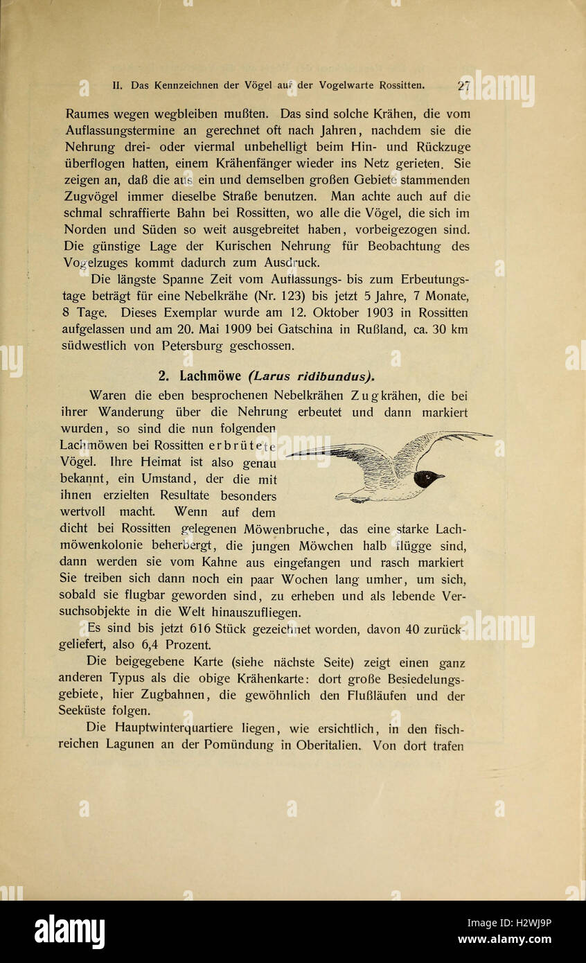 An overview of the Rossitten Bird Observatory, discussing bird ...