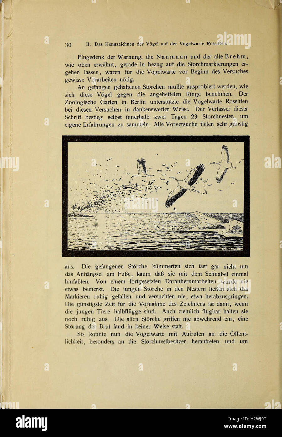 This work details the Rossitten Bird Observatory and the identification ...