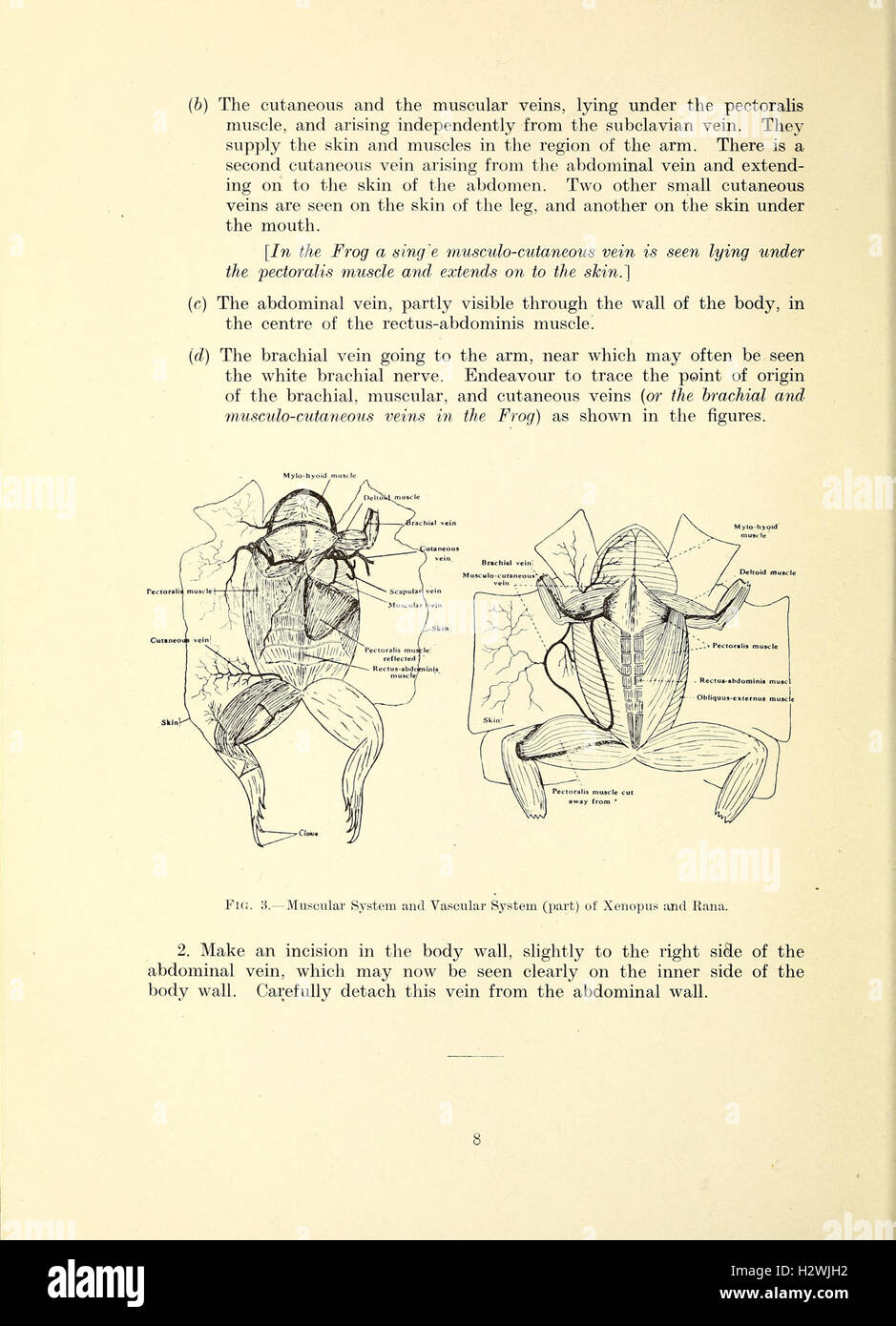 Dissection manuscript hi-res stock photography and images - Alamy