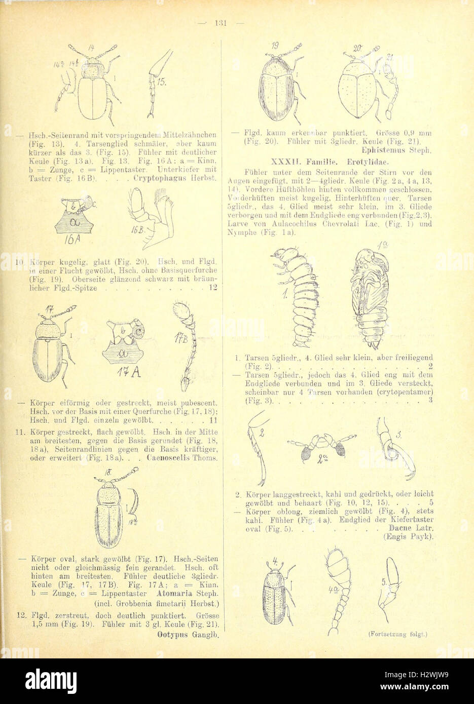 An entomological review featuring various insect species, research ...