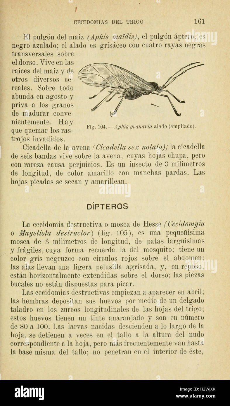 A study of agricultural entomology and parasitology, focusing on pest ...