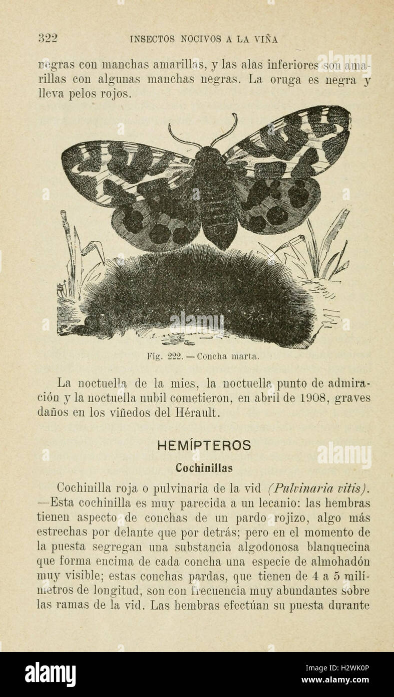 This work discusses agricultural entomology and parasitology, focusing ...